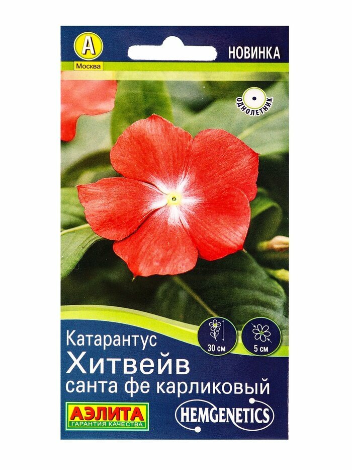 Семена цветов Катарантус «Хитвейв санта фе карликовый» 5 шт.