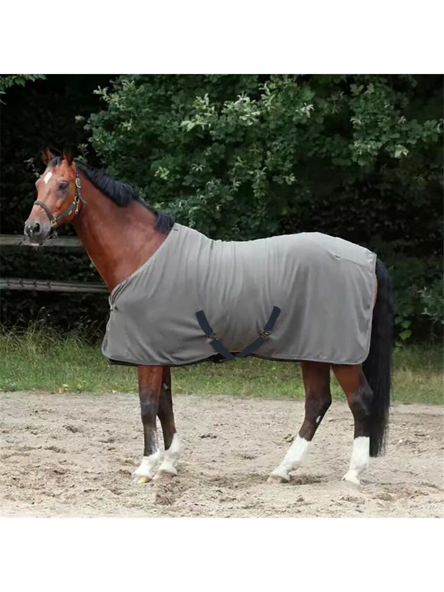 Попона для лошади