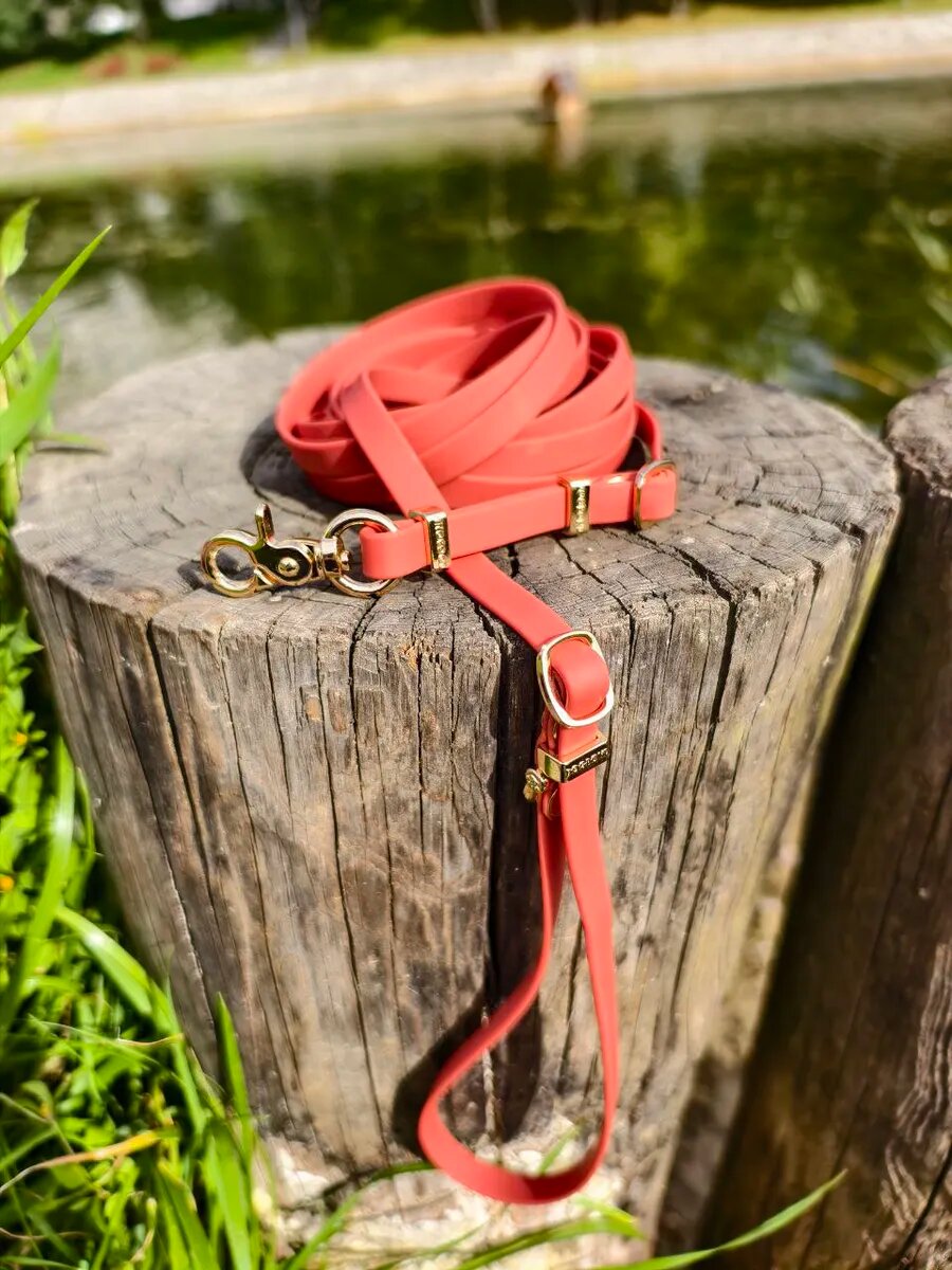 Поводок-перестежка 3 м Dogbond из биотана