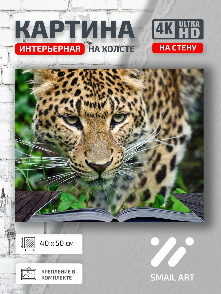 Картина на холсте интерьерная 40 на 50 на стену Зверь Mood для гостиной атмосфера интерьер
