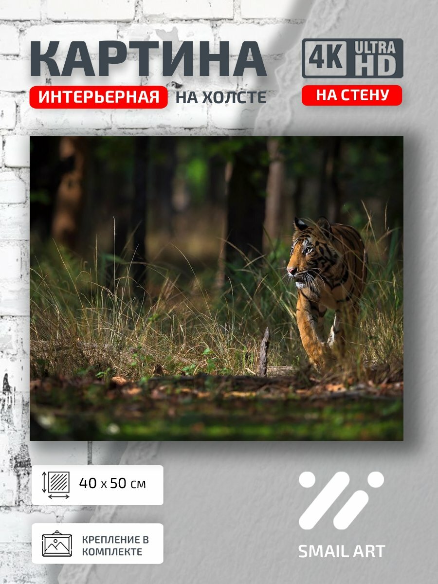 Картина на холсте интерьерная 40 на 50 на стену Зверь Landscape для спальни пейзаж интерьер