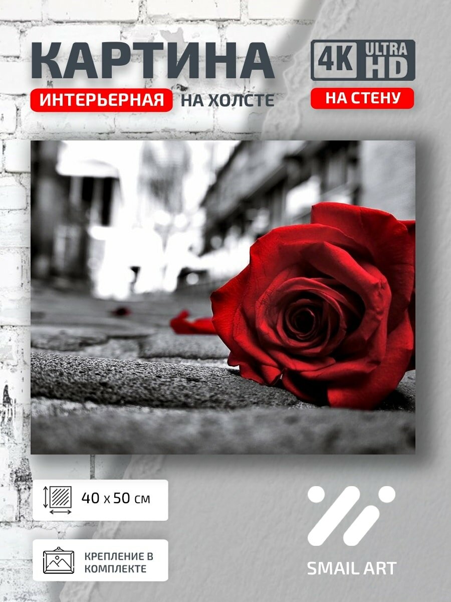 Картина на холсте интерьерная 40 на 50 на стену красной розой для гостиной атмосфера