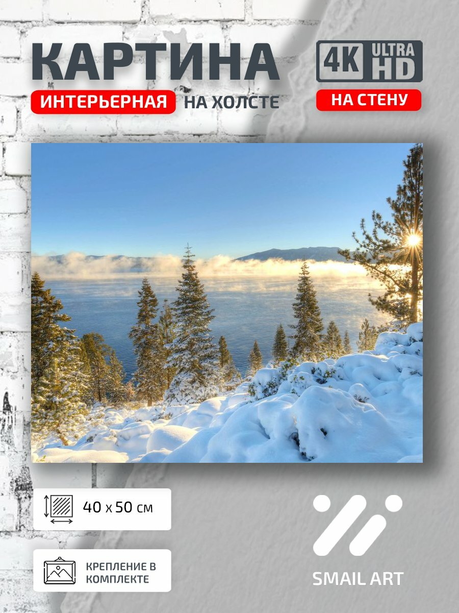 Картина на холсте интерьерная 40 на 50 на стену Зима dawn для гостиной пейзаж интерьер