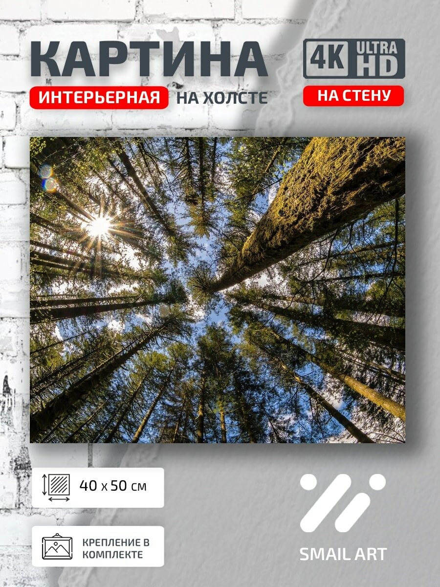 Картина на холсте интерьерная 40 на 50 на стену Природа Oneway для кабинета пейзаж