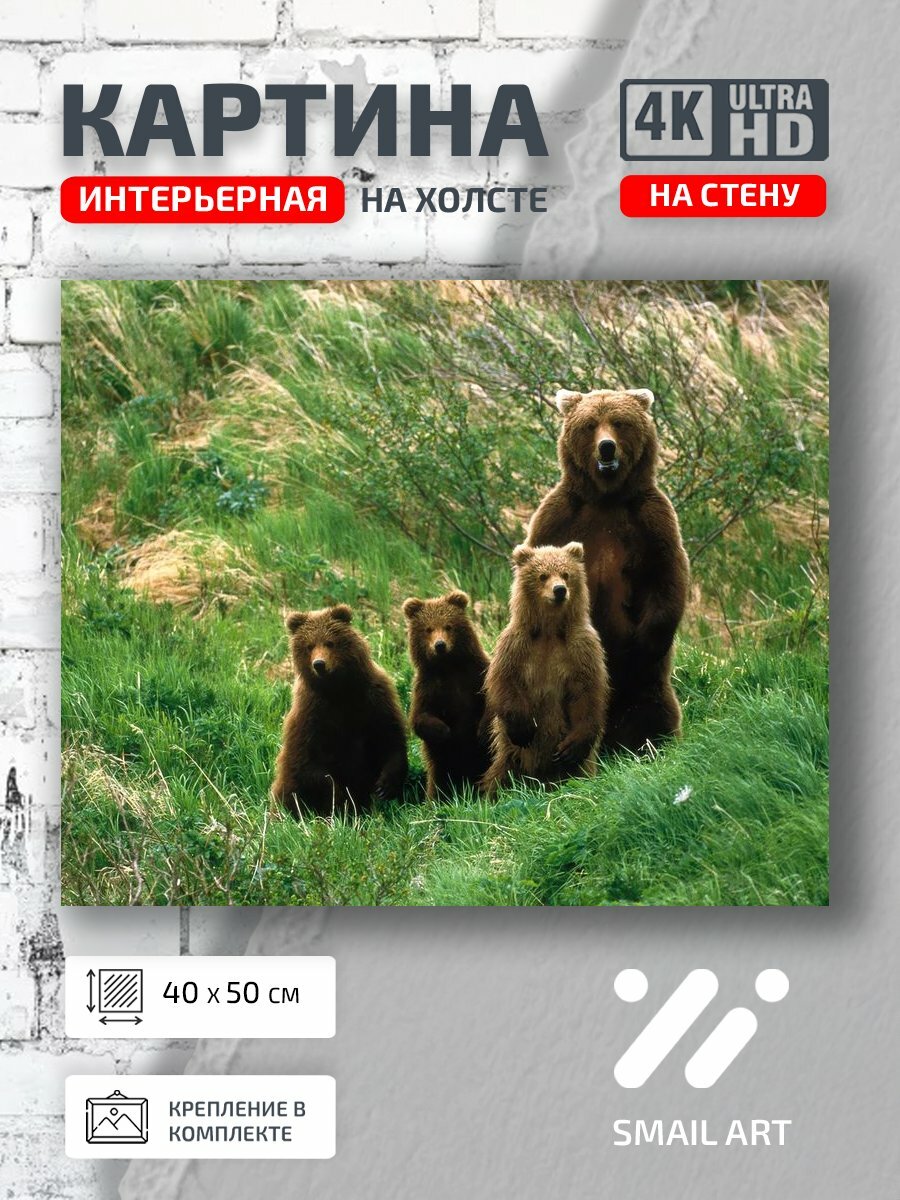 Картина на холсте интерьерная 40 на 50 на стену Медведи Animal для спальни animal style