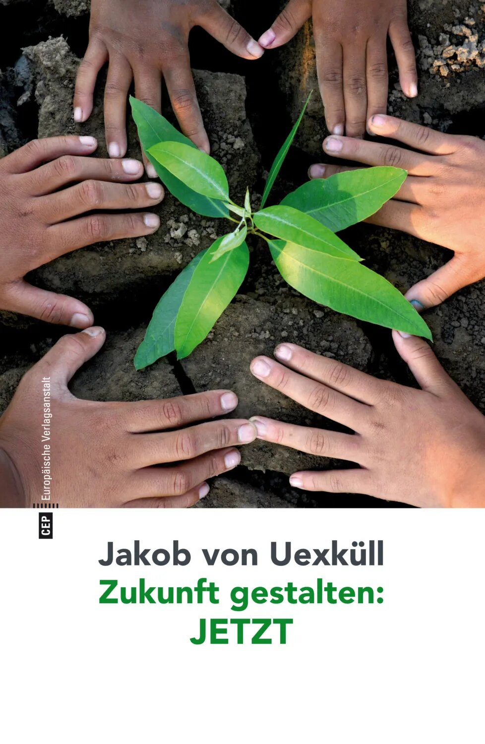 Zukunft gestalten: JETZT [Цифровая книга]