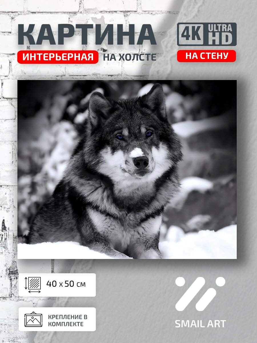 Картина на холсте интерьерная 40 на 50 на стену in Snow для гостиной animal style