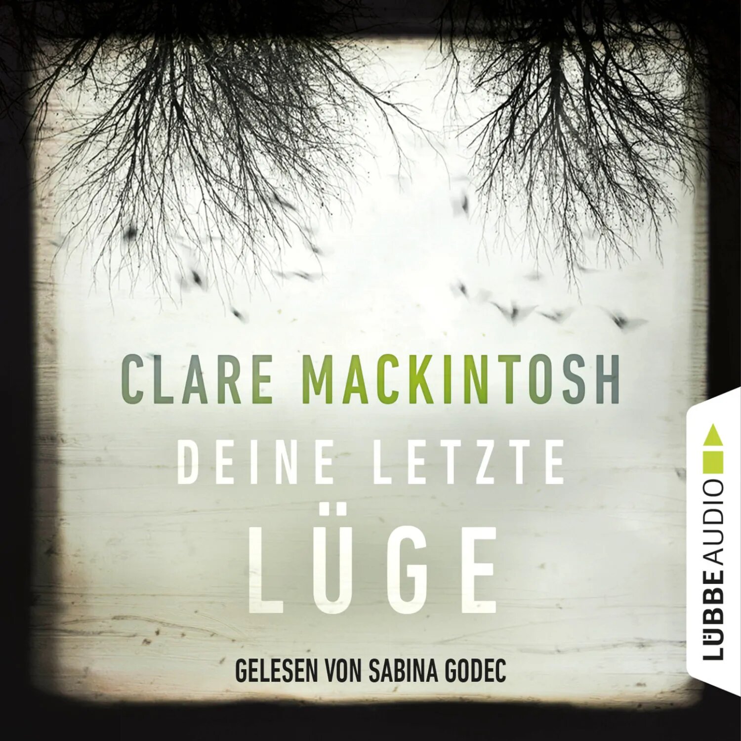 Deine letzte Lüge (Gekürzt) [Аудиокнига]