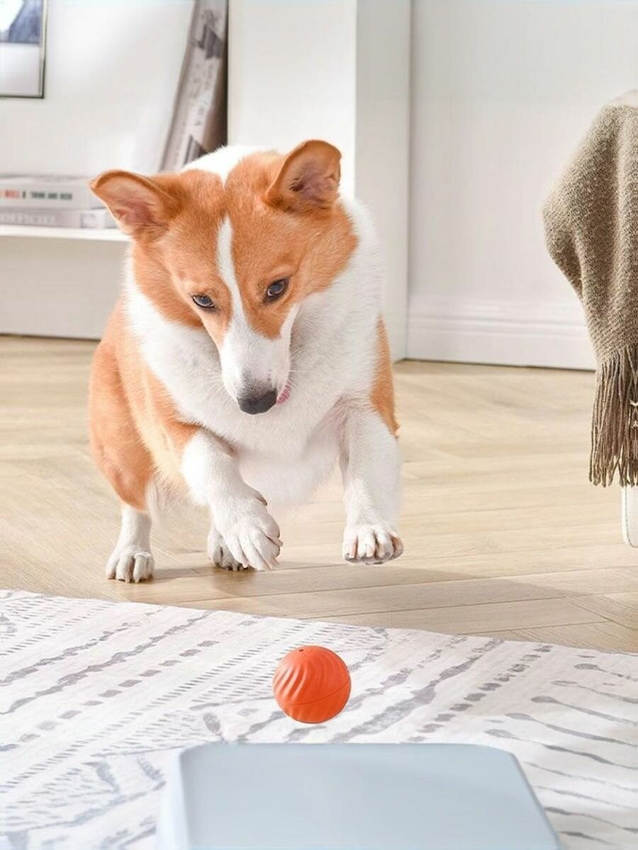 Интерактивные игрушки для собака, умный собачий мячик