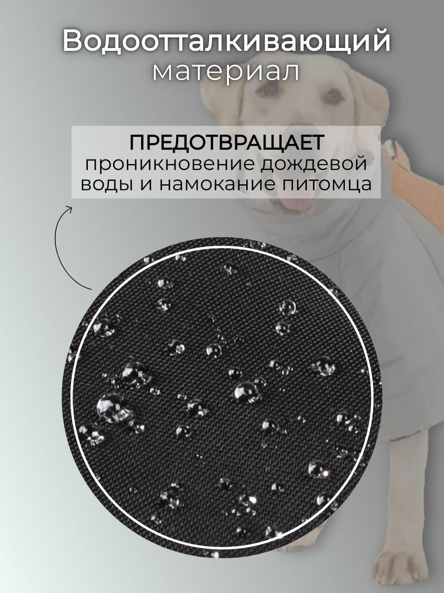 Одежда для животных — фото 1