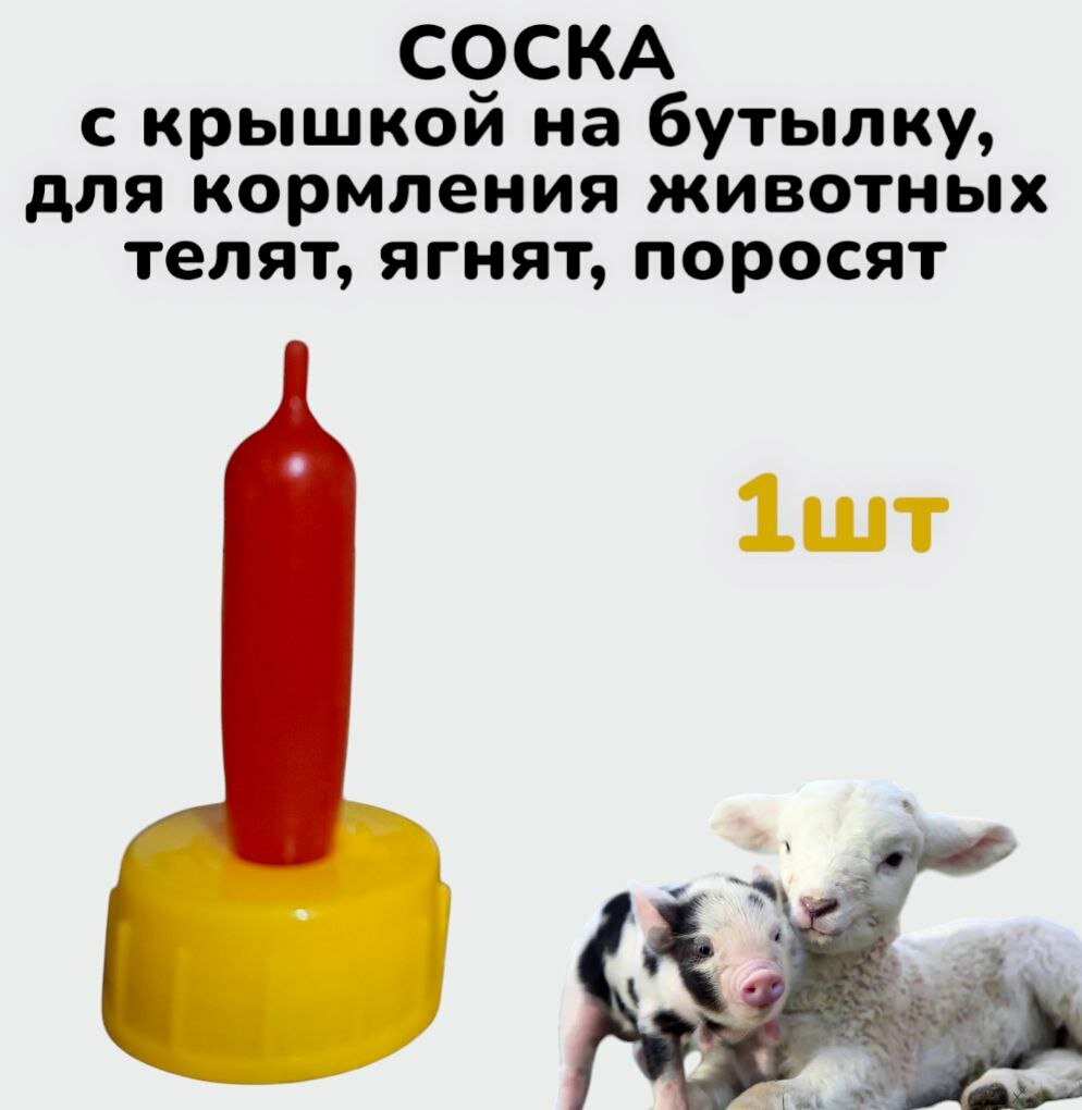 Соска под бутылку 1 шт Для мелких животных, 6 см