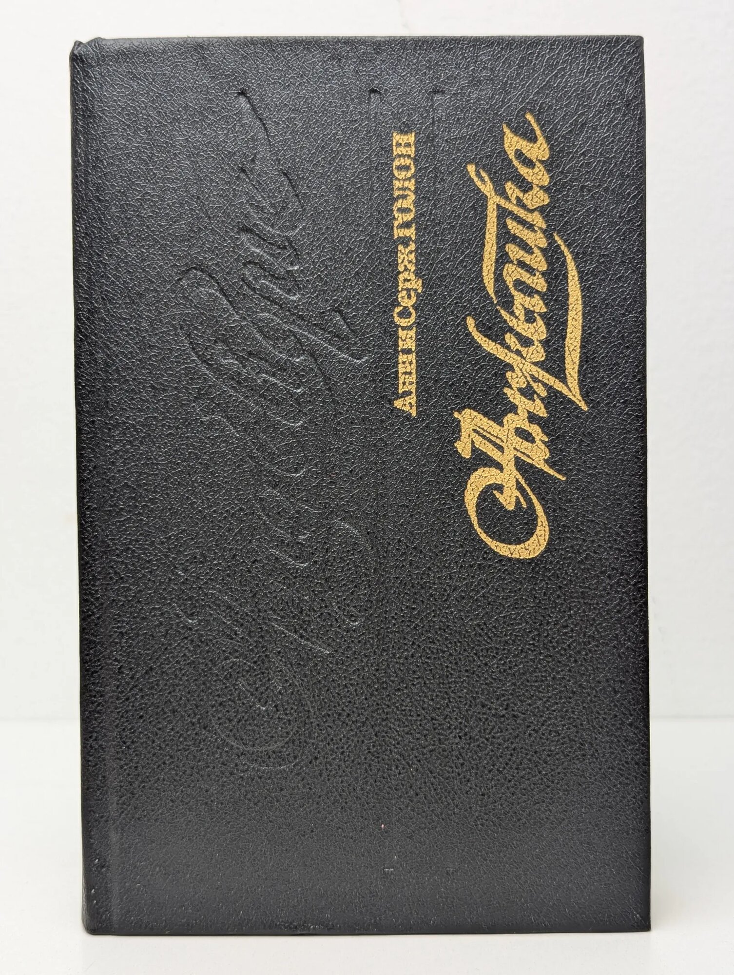 Анжелика Голон Анн, Голон Серж 1991