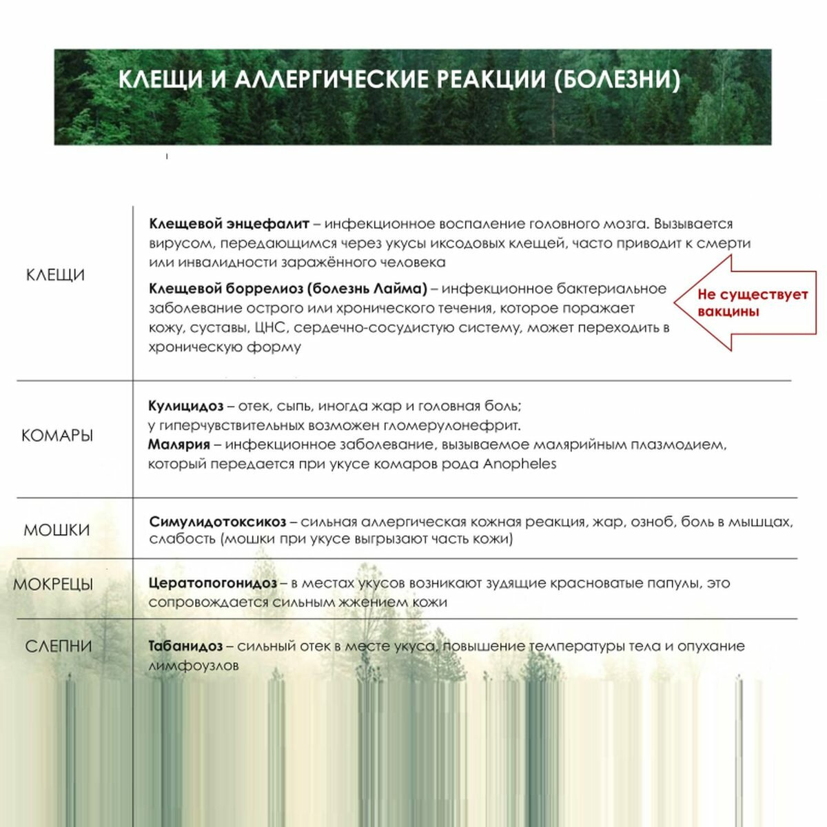 Спрей репеллентный Mosquitall Специальная защита от клещей, 200мл (2213616)