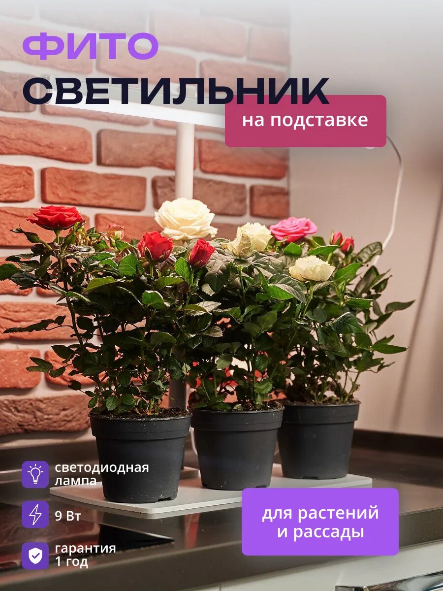 Фитосветильник "Здоровья Клад" растущий 9Вт набор