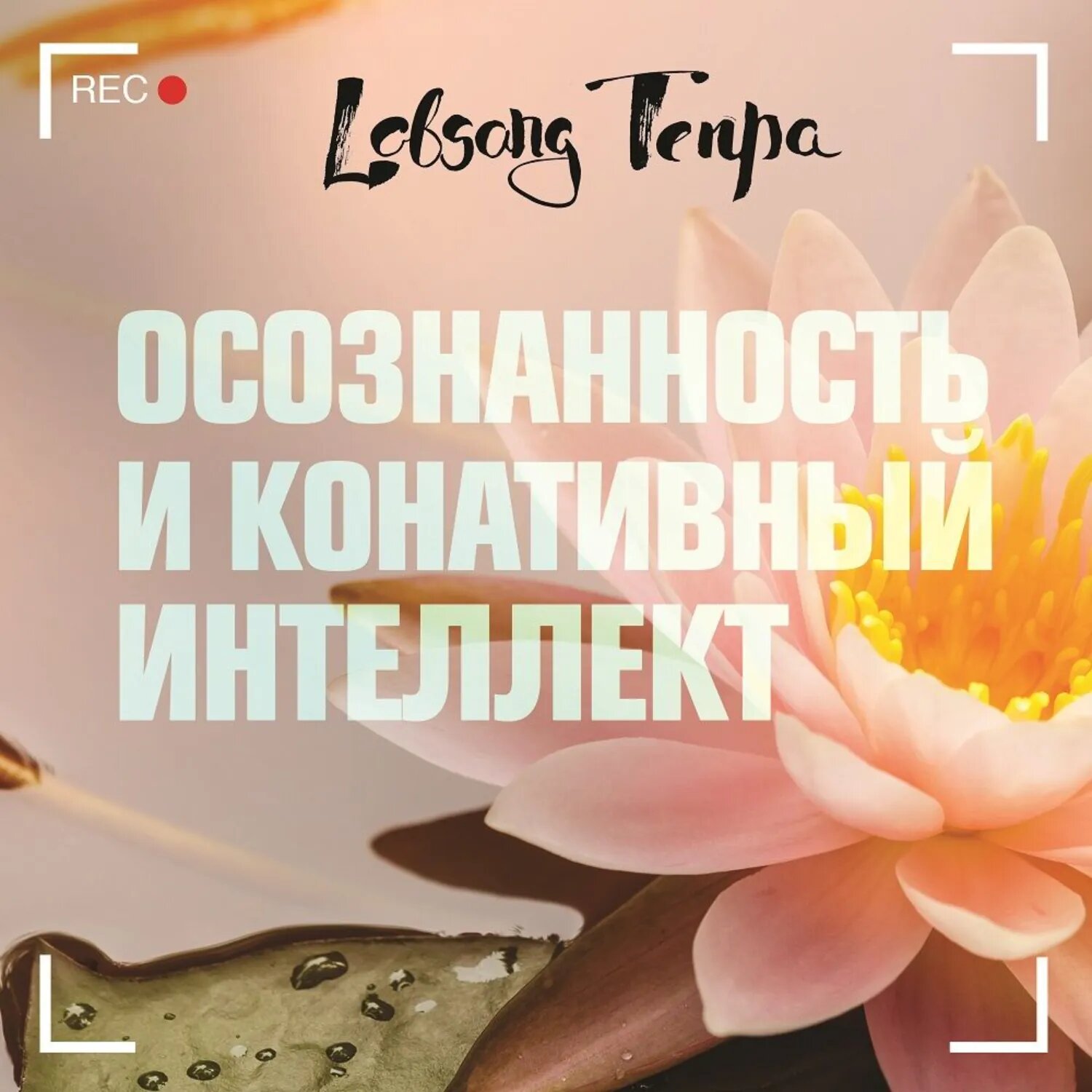 Осознанность и конативныи интеллект [Аудиокнига]