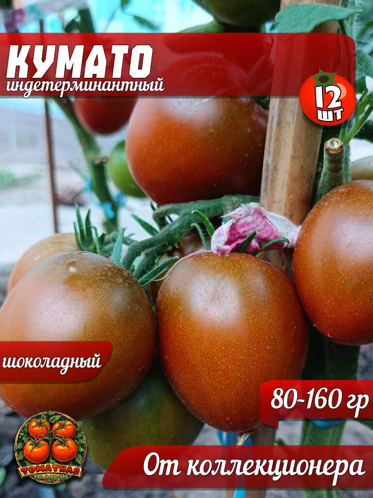 Томат "Кумато" Семена 12шт. Индетерминантный. Коллекционный сорт.