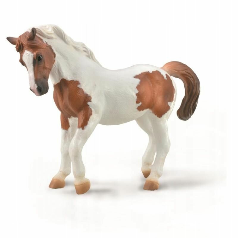 Игрушка Collecta Лошадь Чинкотигский пони