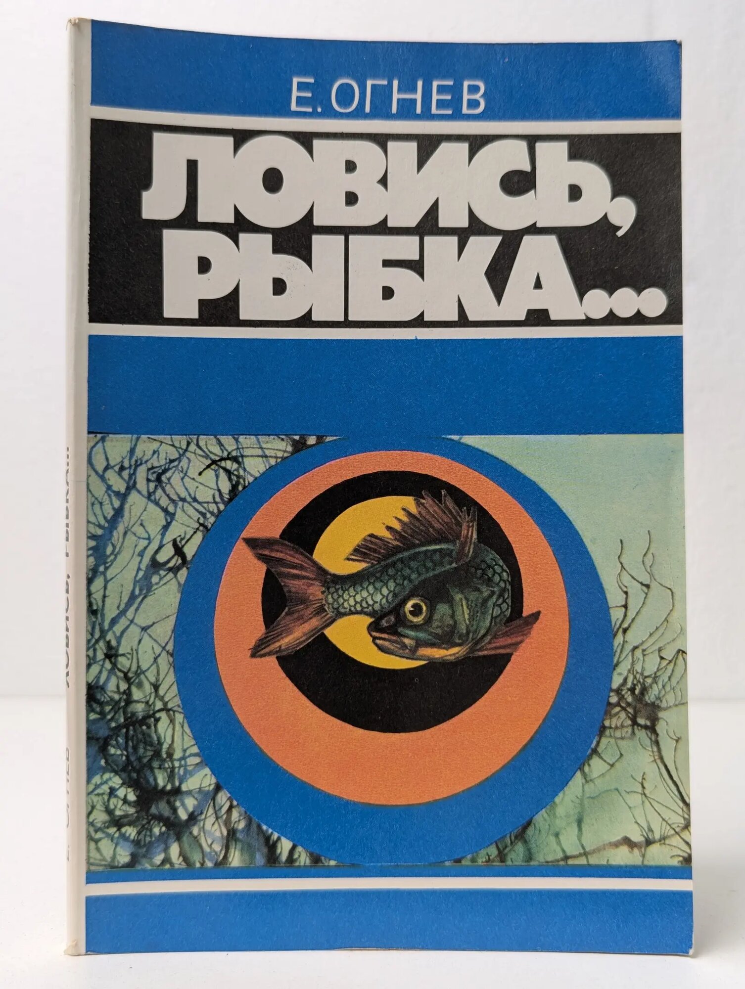 Ловись рыбка. Огнев Евгений Николаевич 1991