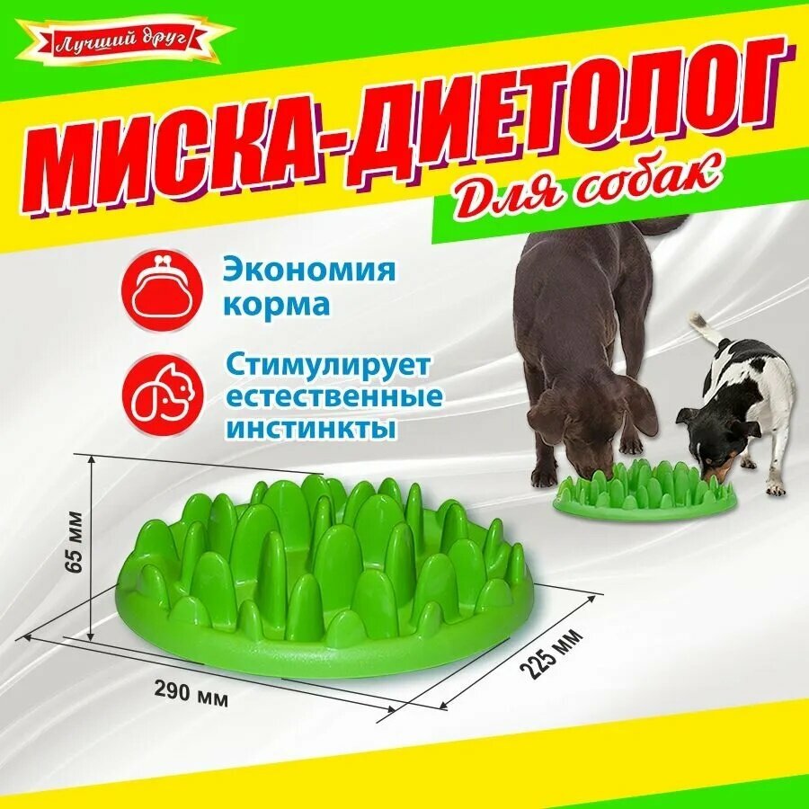 Миска для домашних животных, миска для собачьего корма