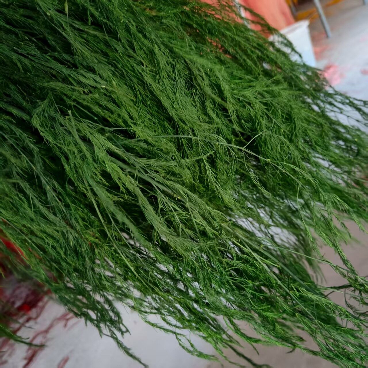 Сушеные цветы, аспарагус, длинная трава, висячий рис, свадебное украшение, мягкая декорация, флористическое искусство, висячая обработка на заказ