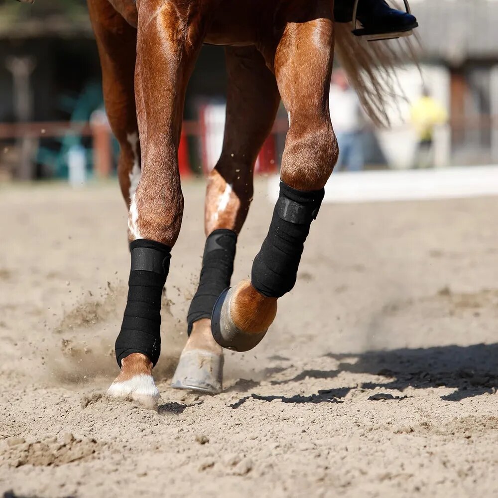 Бинт для лошади