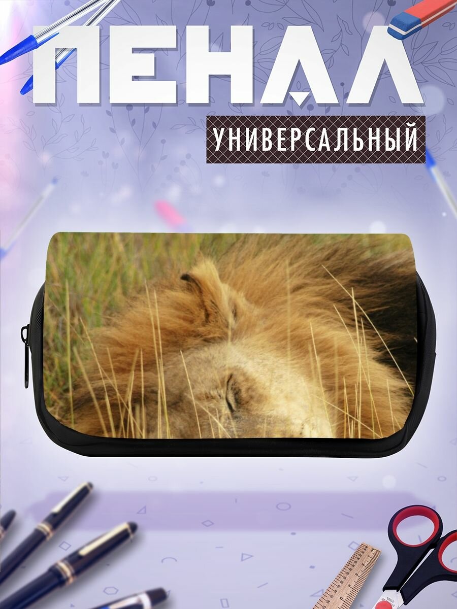 Школьный пенал Лев тигр
