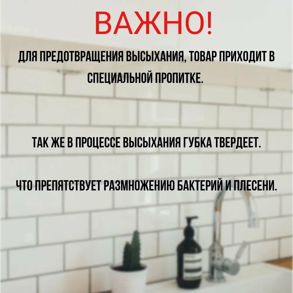 Губка, ПВА — фото 1