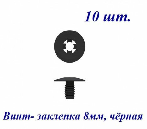 Заклепка пластиковая QUICK LOCK 8 мм. 10 шт. черная