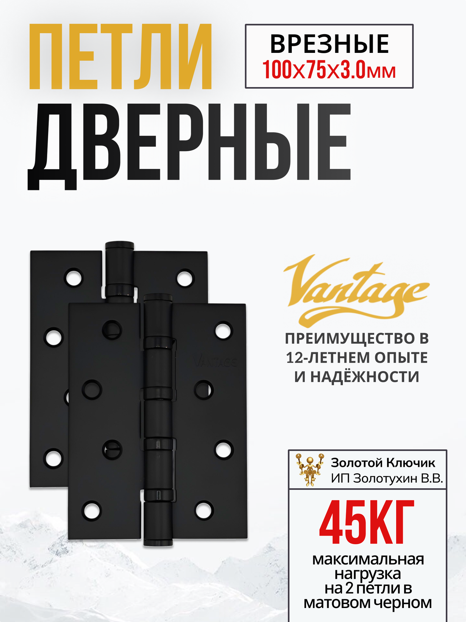 Петли врезные дверные черные универсальные, 2 шт, 100х75х3