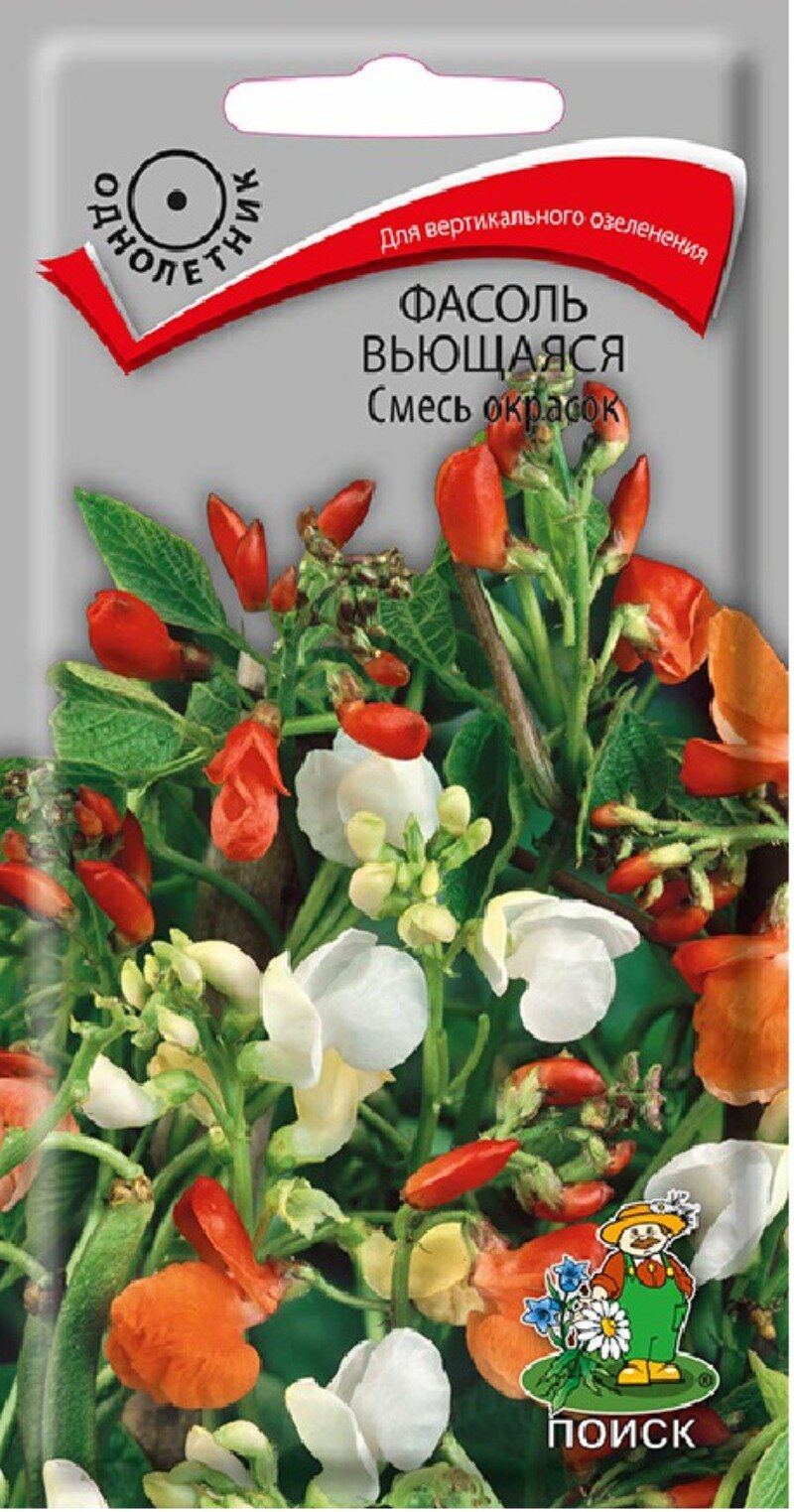 Семена Фасоль вьющаяся Смесь окрасок (5 семян), Агрофирма Поиск
