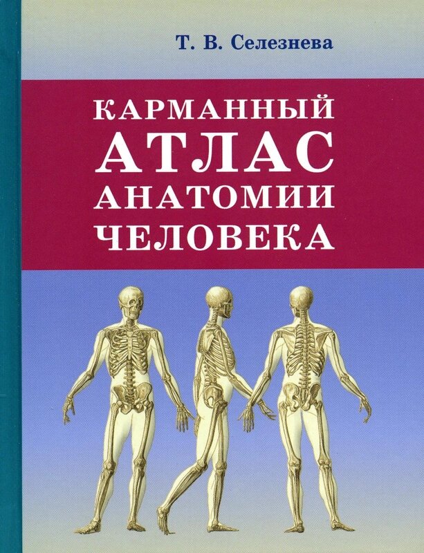 Карманный атлас анатомии человека (Селезнева Т. В.)