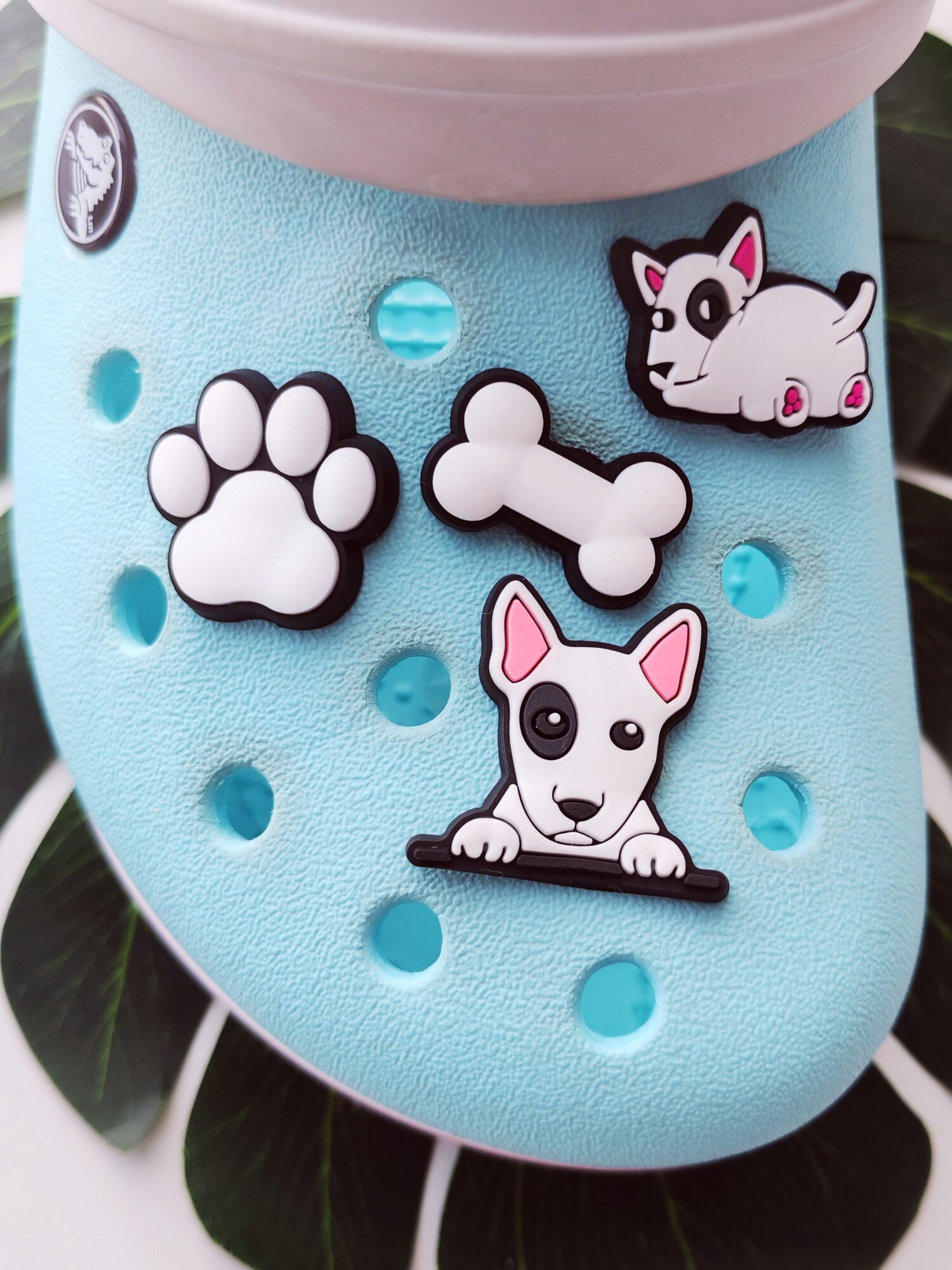 Джибитс бультерьер на Crocs клипсы собака