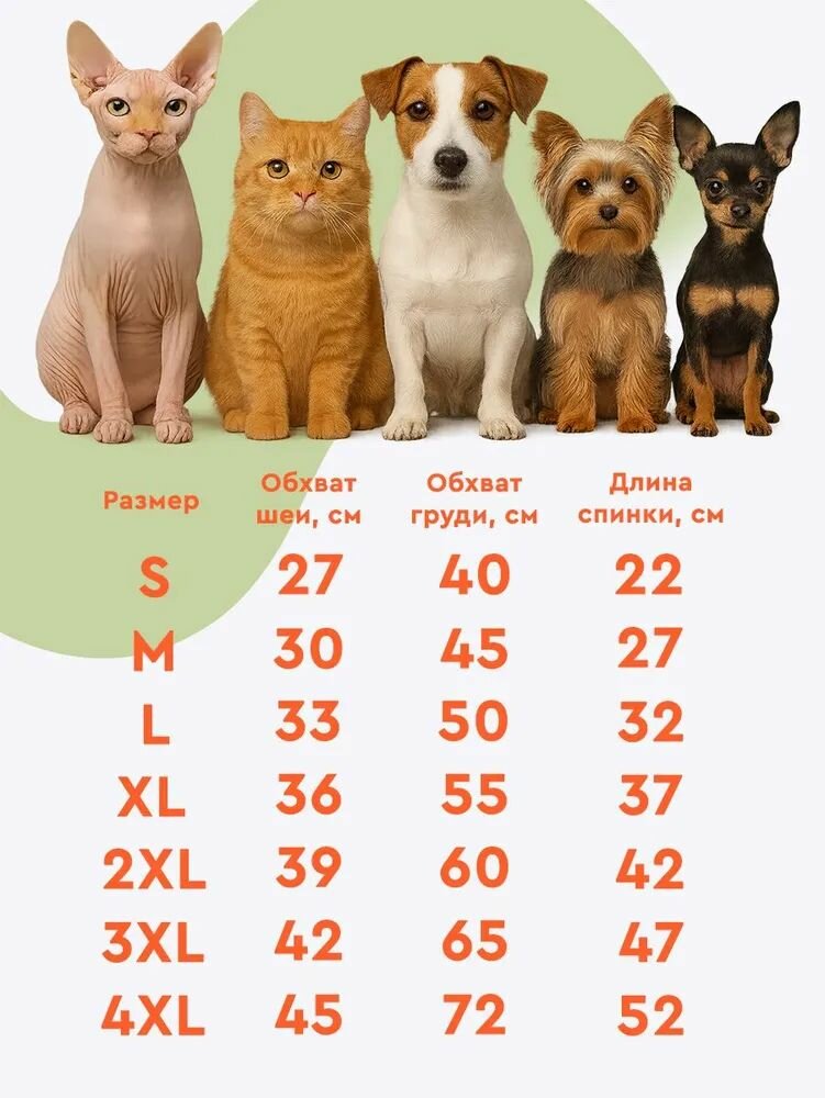 Одежда для животных — фото 1