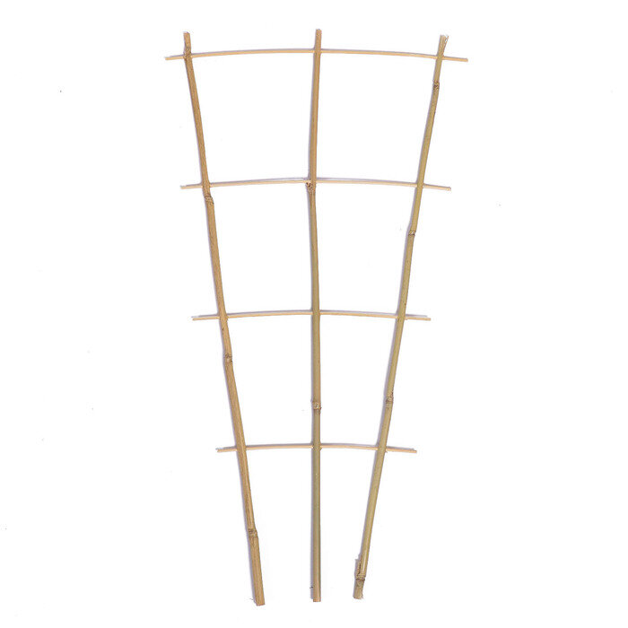 Шпалера, 60×32×1 см, бамбук, «Двойная», Greengo