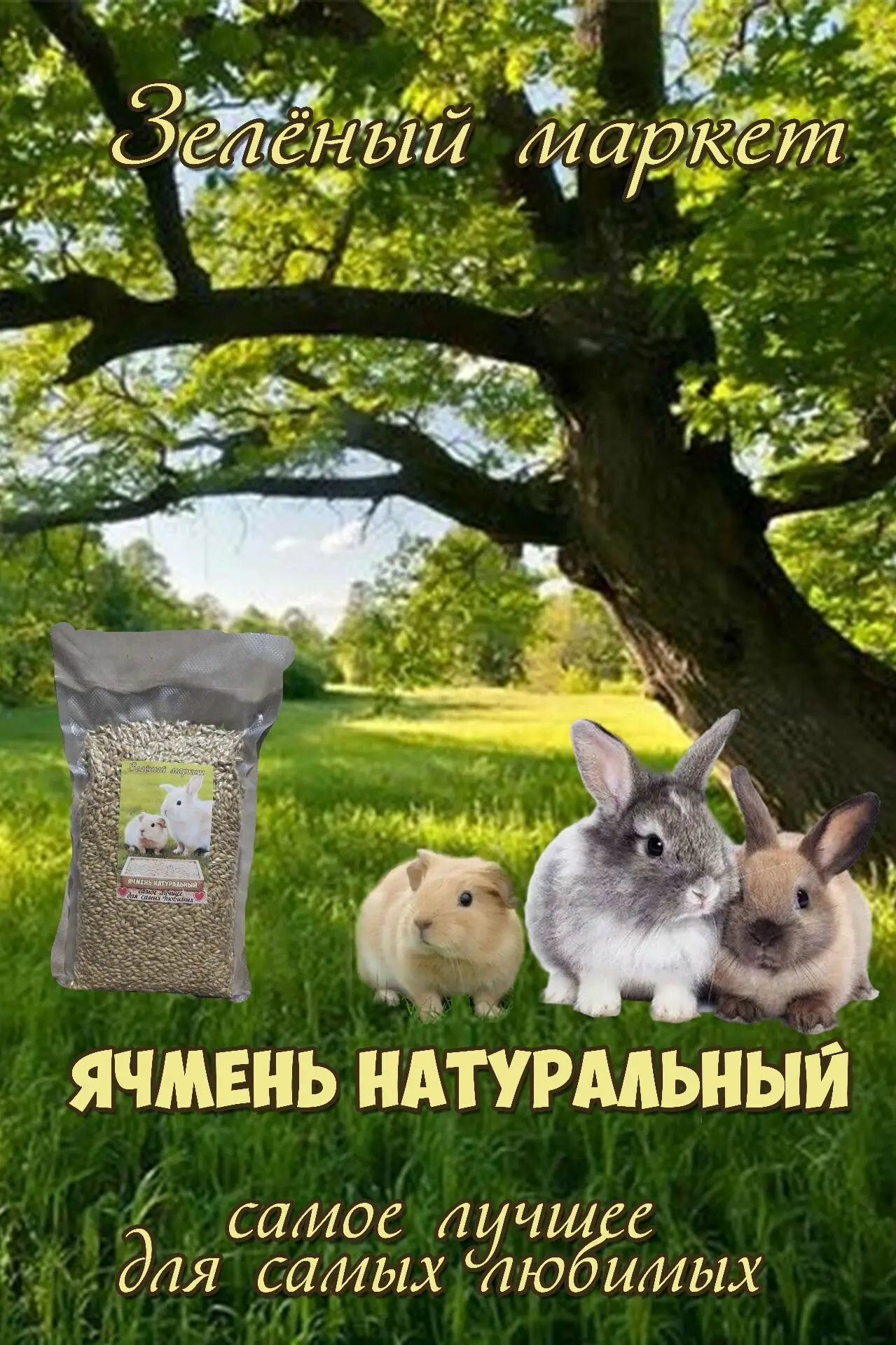 Ячмень натуральный