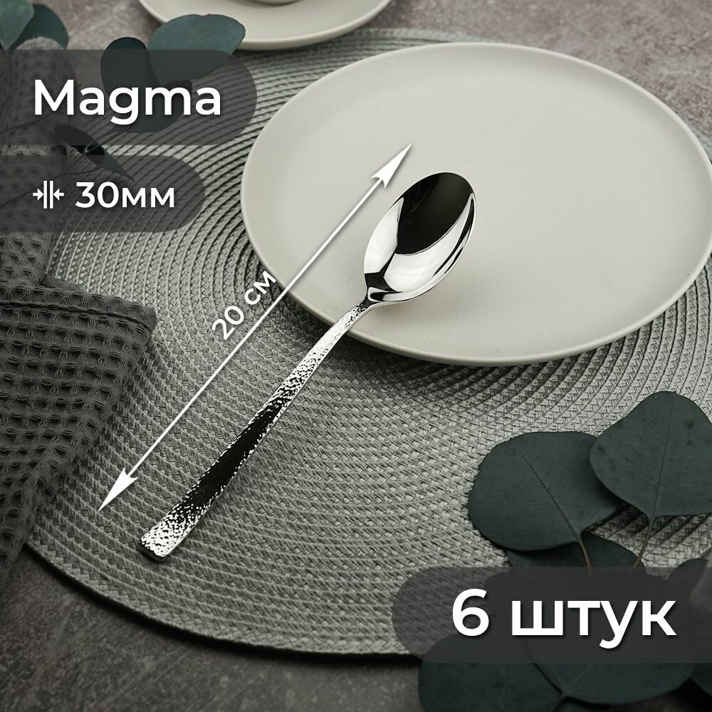 Набор столовых ложек Magma P.L. Davinci 20 см, 6 шт