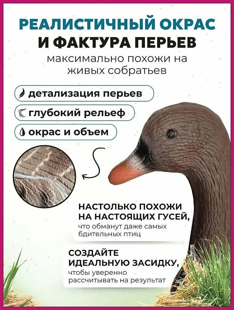 Чучело — фото 1