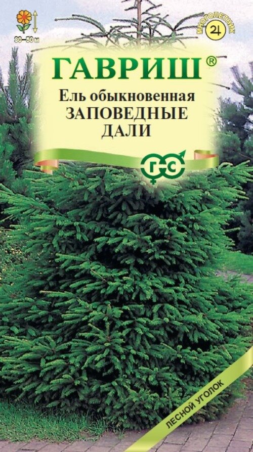 Семена ели Гавриш Заповедные дали, ширококоническая, 0.5 г 004963
