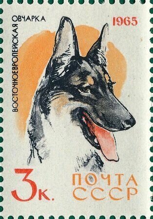 1965-011 Марка СССР Восточно-европейская овчарка Служебные и охотничьи собаки III O