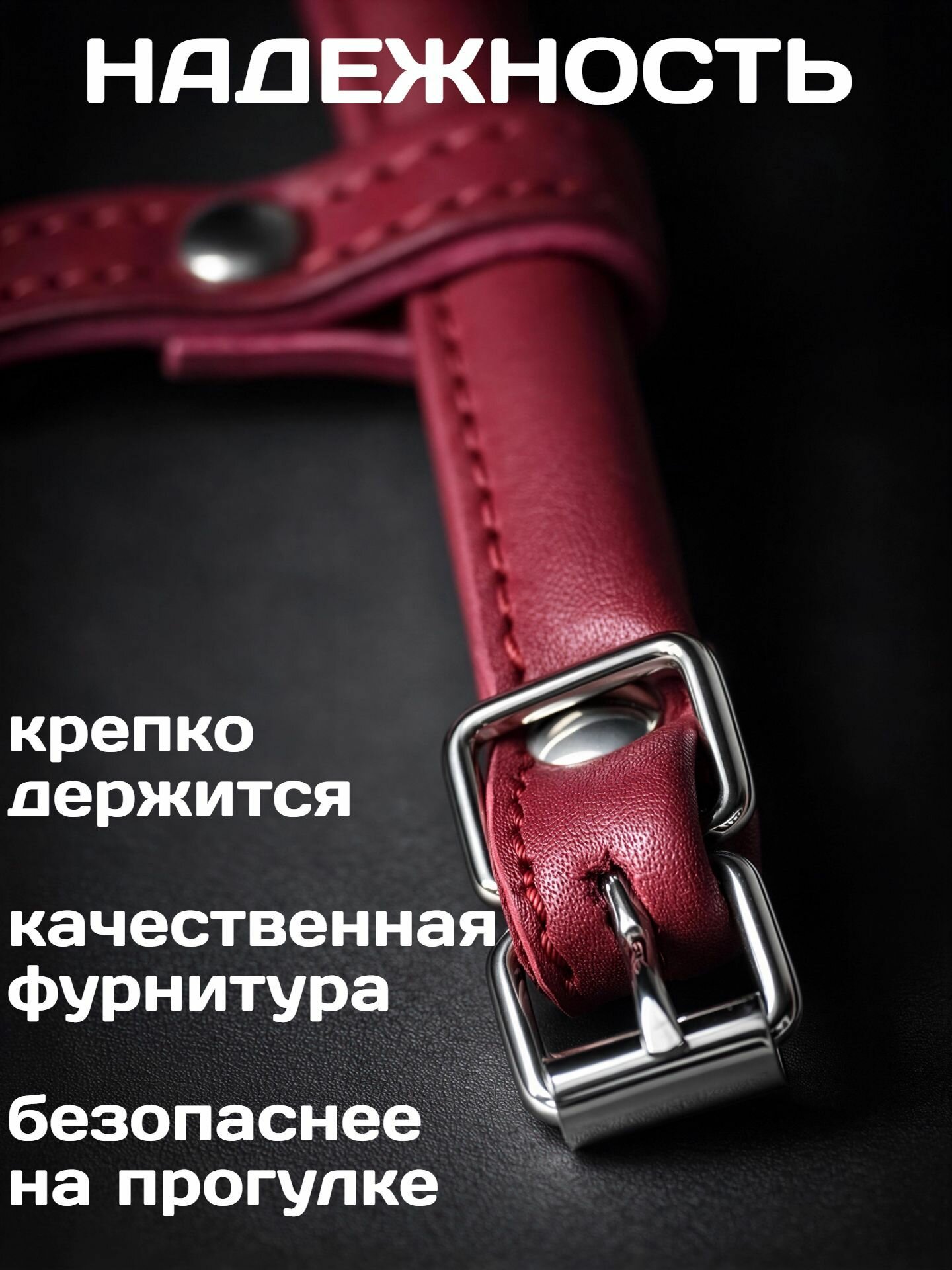 Шлейка кожаная для шпица — фото 1