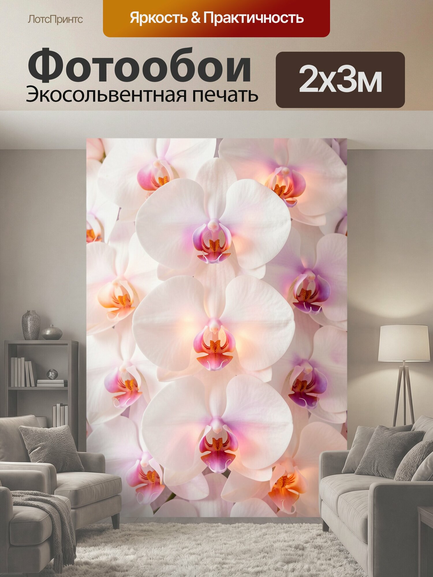 Фотообои "Белые орхидеи с розовыми акцентами. Нежная флористическая композиция из крупных светлых орхидей с розово-фиолетовыми и персиковыми." 200x300 см. экосольвентная печать