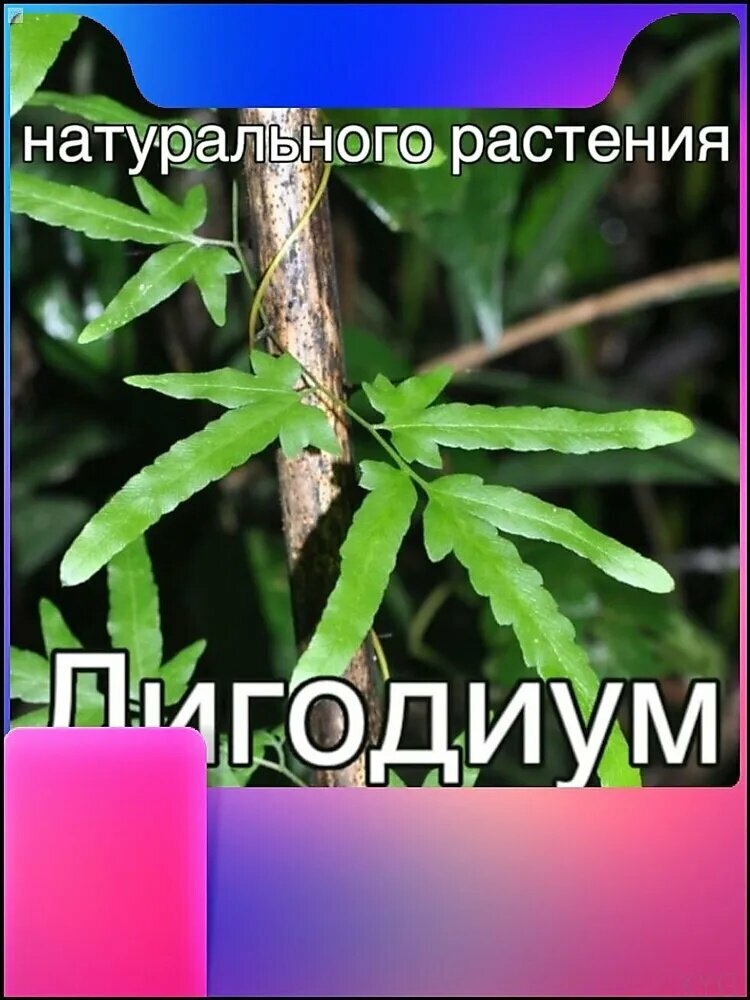 Фигурка садовая — фото 1
