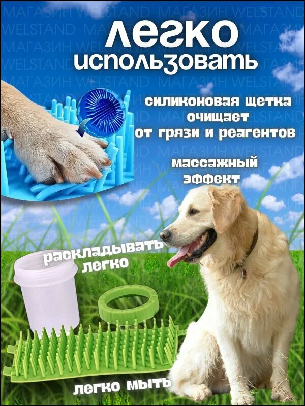 Лапомойка — фото 1