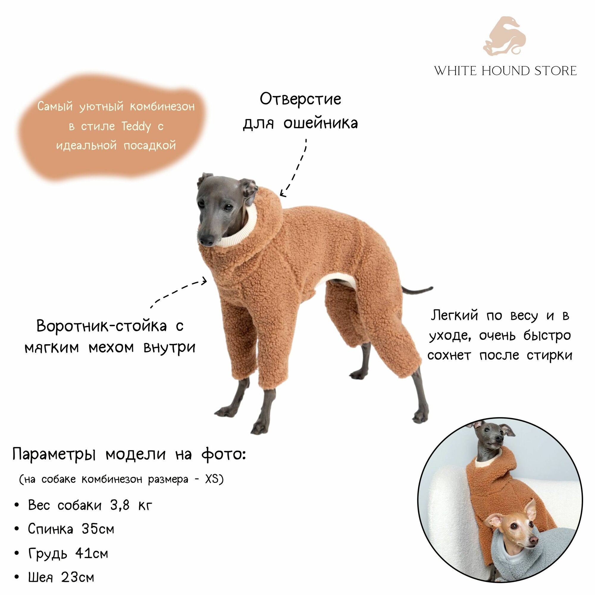 Комбинезон Teddy для Левретки.