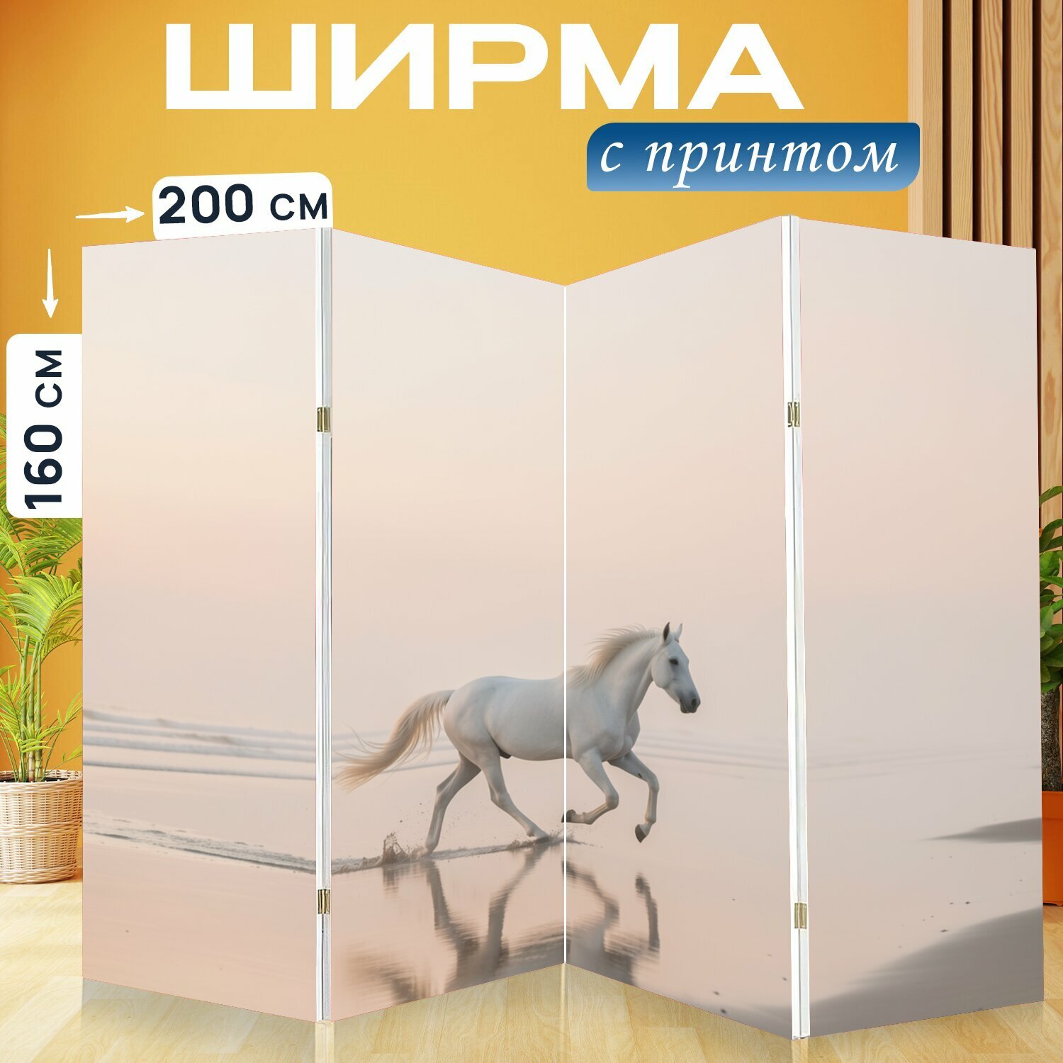 Ширма "Белая лошадь, бегущая галопом по мелководью на гладком пляже, с длинной развевающейся гривой и мягким." перегородка для зонирования комнаты с принтом 200x160 см. на холсте