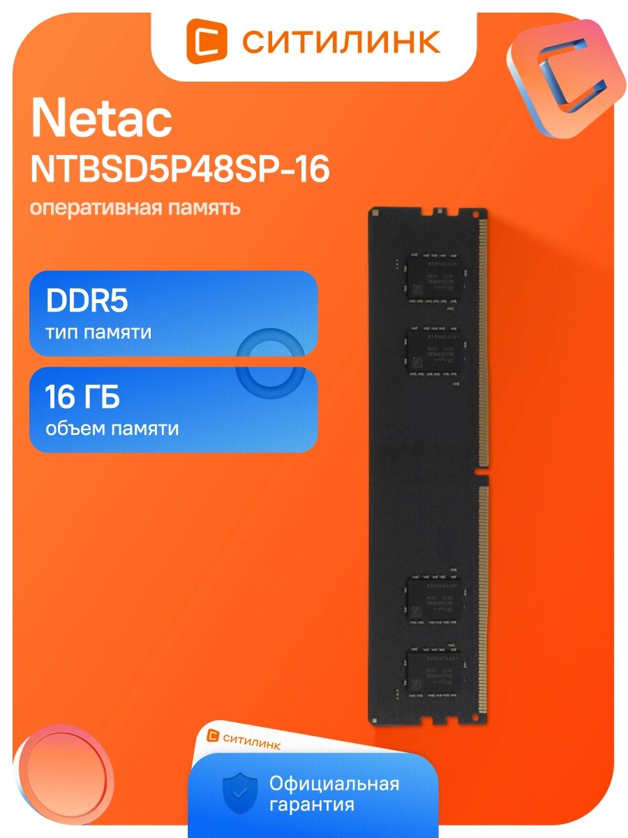 Память DDR5 16GB 4800MHz Netac NTBSD5P48SP-16 Basic RTL Gaming PC5-38400 CL40 DIMM 288-pin 1.1В Intel single rank RTL
