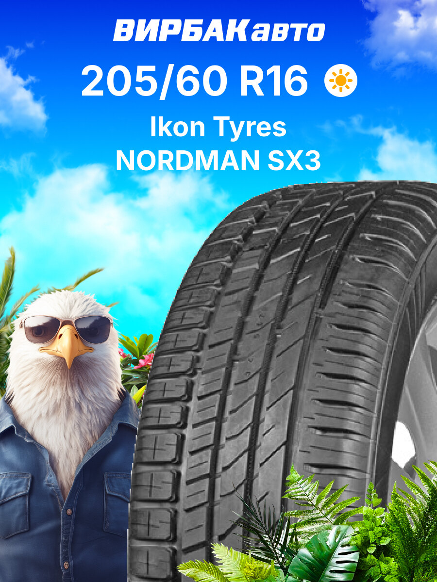 Летние шины Ikon Nordman SX3 (Character Eco) 205/60 R16 92H