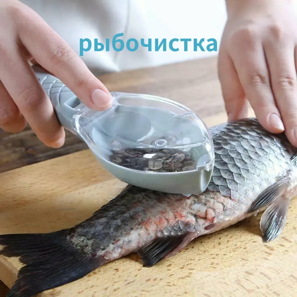 Скалер для рыбы с крышкой, специализированный инструмент для уничтожения рыбы, лазурь 带盖鱼类鳞片机专用鱼类杀鱼工具 Azure