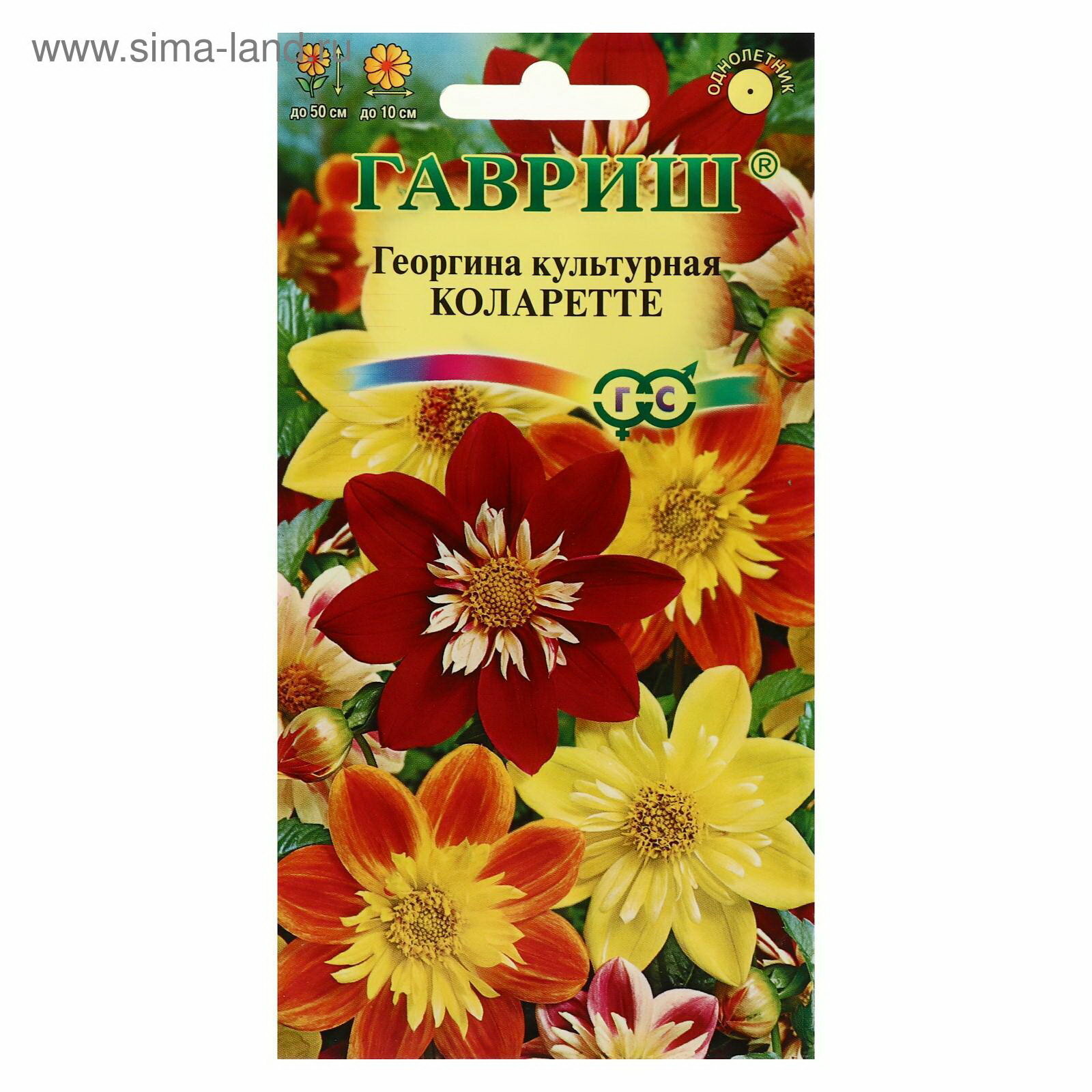 Семена цветов Георгина "Коларетте", ц/п, 0.2 г, посев на рассаду: апрель, 3 шт.