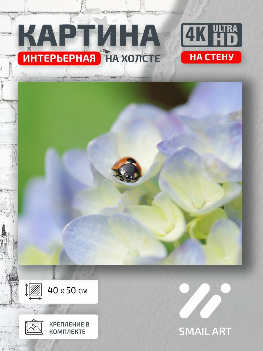 Картина на холсте интерьерная 40 на 50 на стену Цветке Landscape для кафе пейзаж интерьер